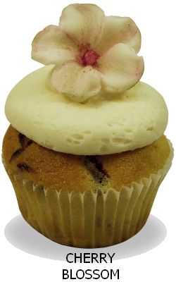 Toronto Cupcake |Send Cupcakes | Toronto cupcakes | cupcake delivery